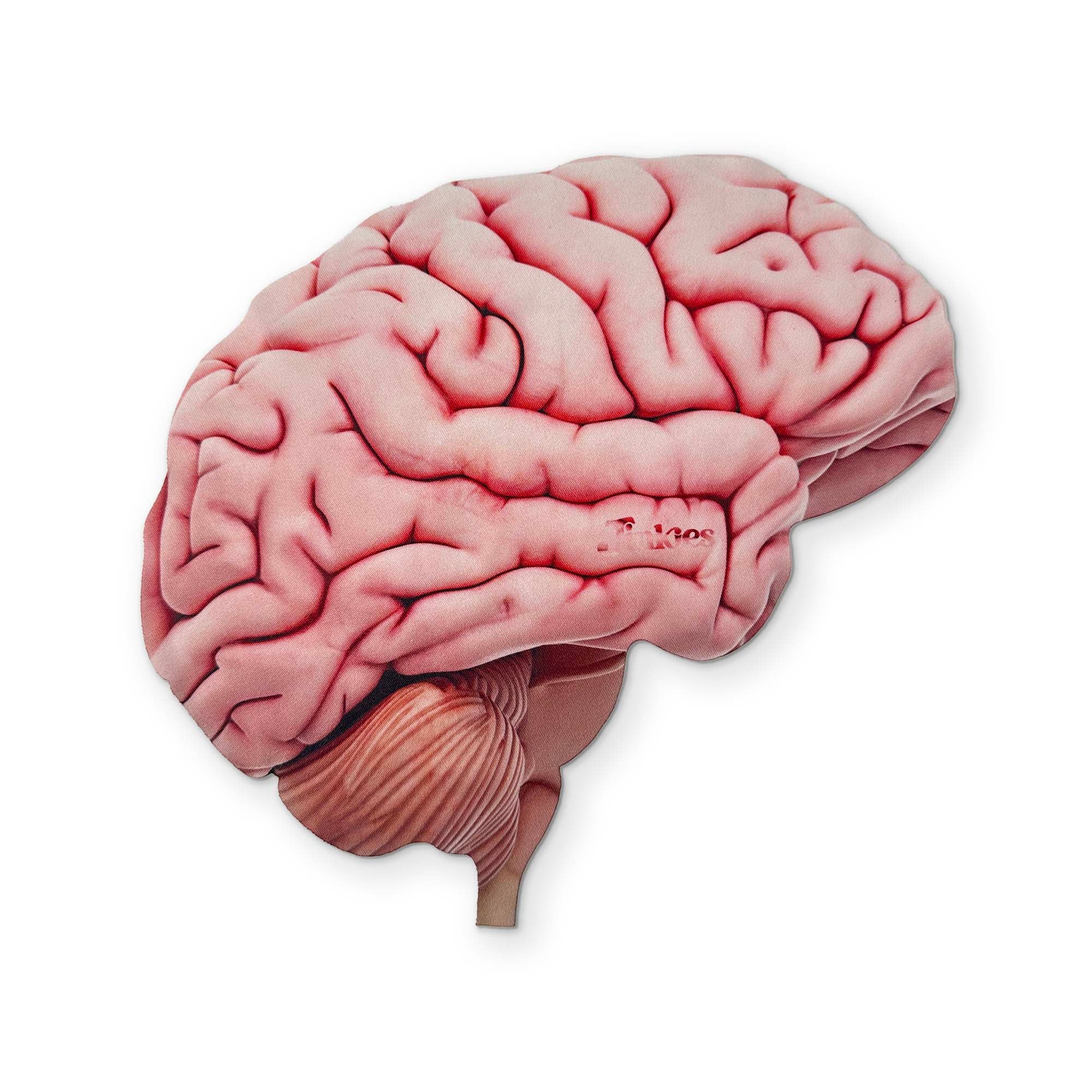 MICROFIBER CLOTH THAT LOOKS LIKE A BRAIN – Nerdwax