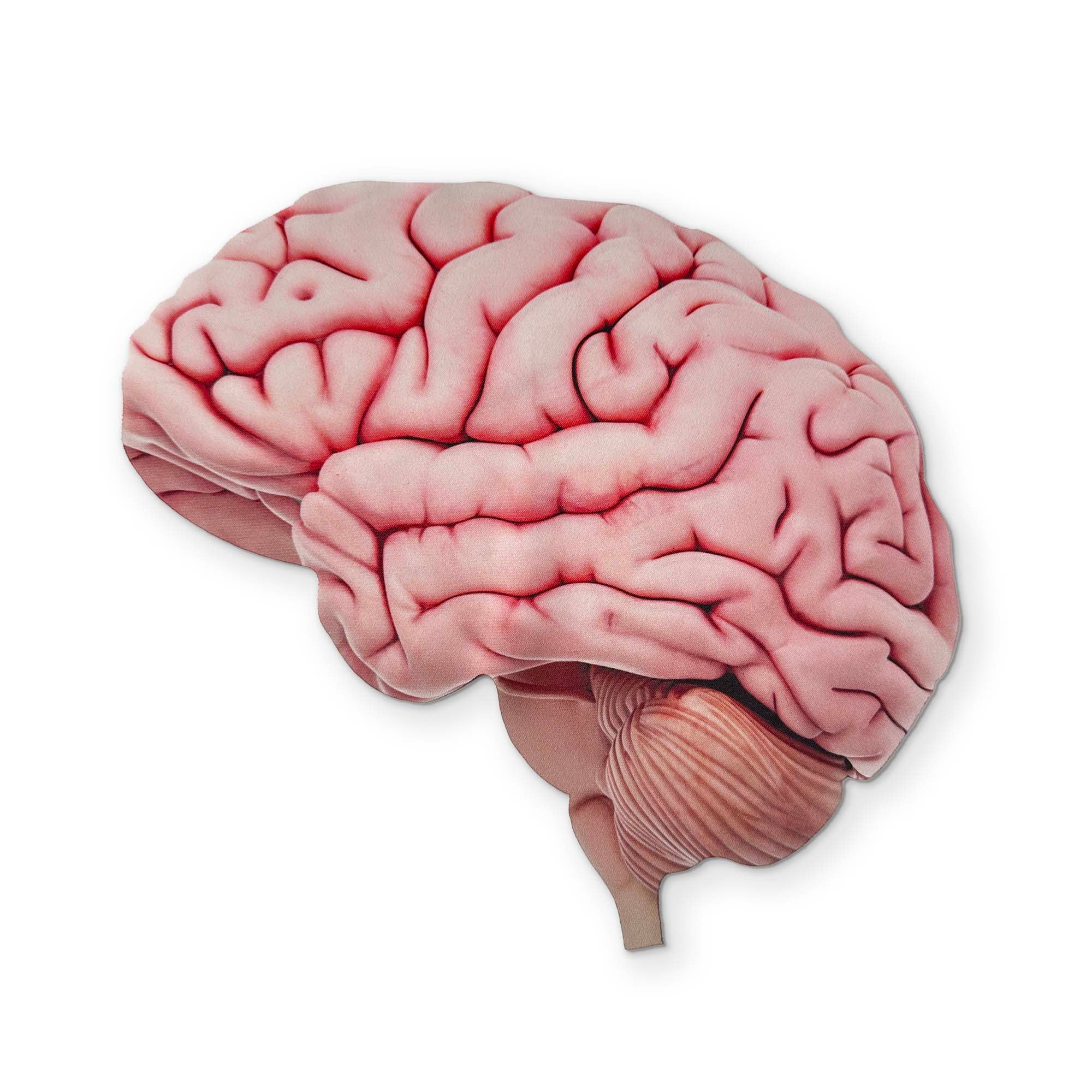 MICROFIBER CLOTH THAT LOOKS LIKE A BRAIN – Nerdwax