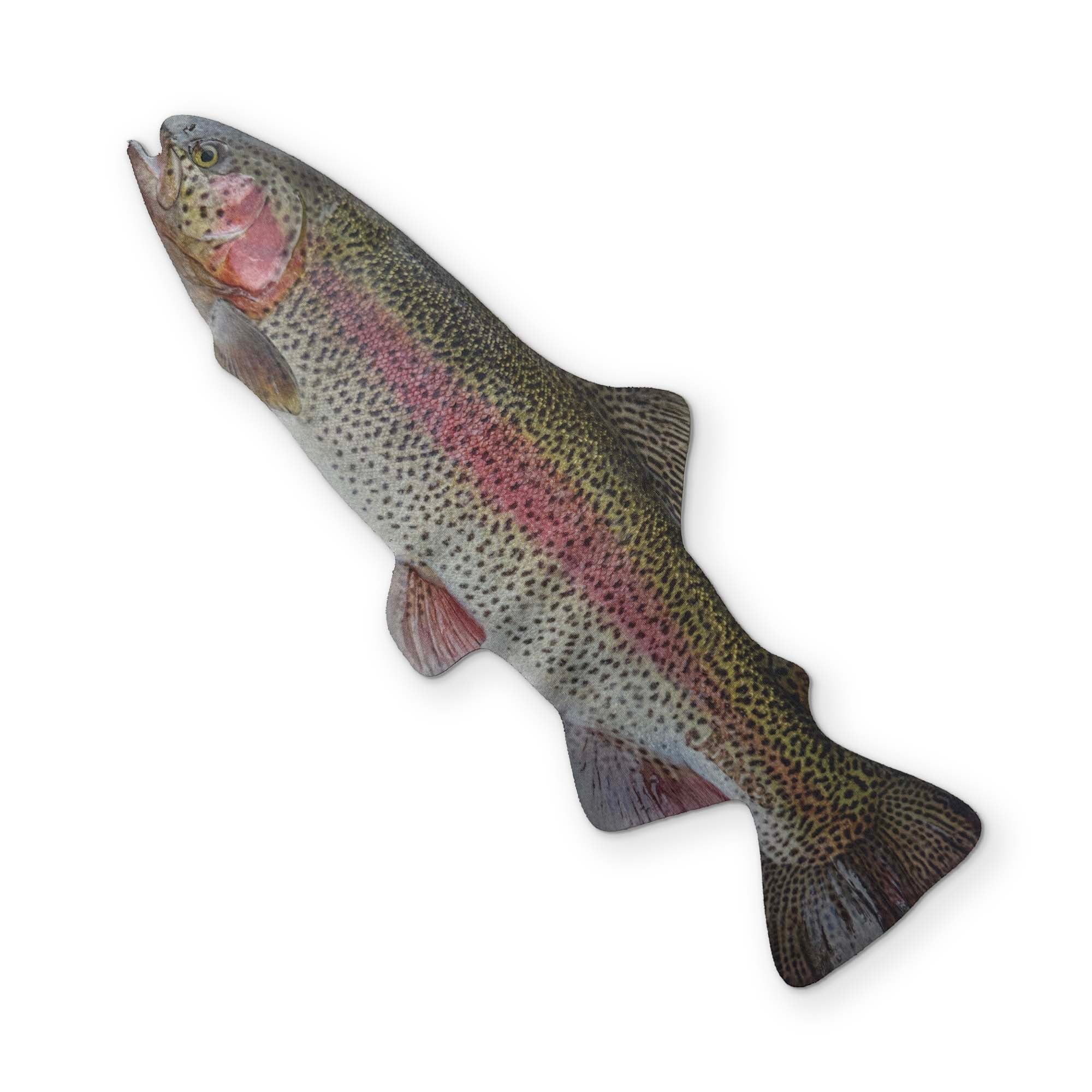 Microfiber Cloth That Looks Like A Rainbow Trout – Nerdwax