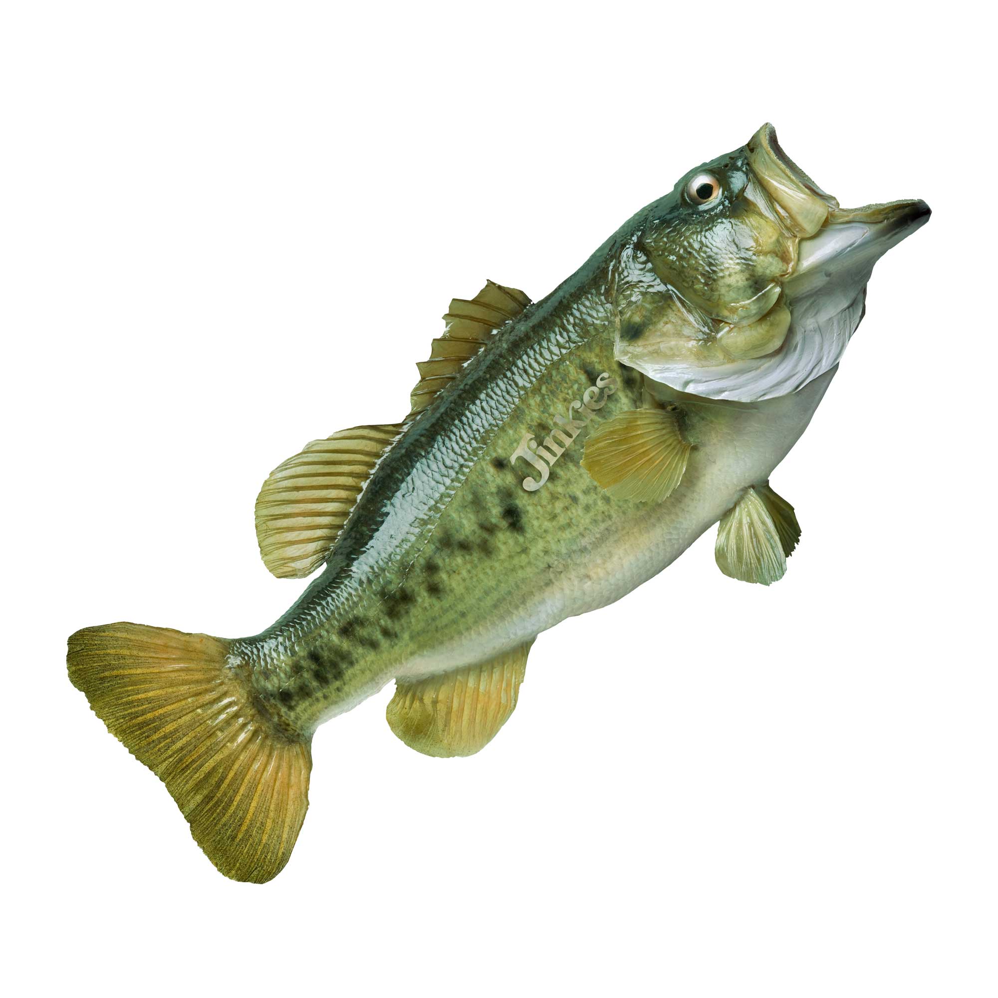 MICROFIBER CLOTH THAT LOOKS LIKE A BASS – Nerdwax