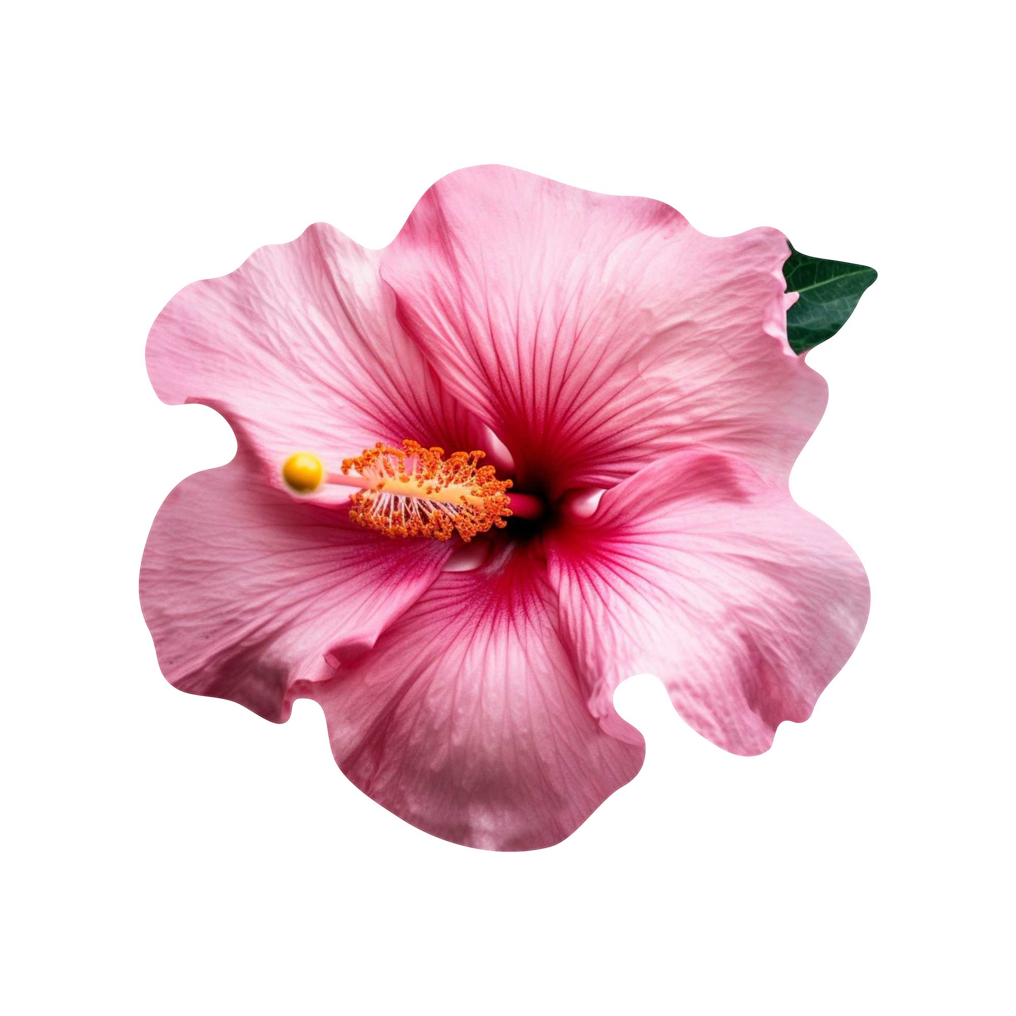 Microfiber Cleaning Cloth That Looks Like A Hibiscus Flower – Nerdwax