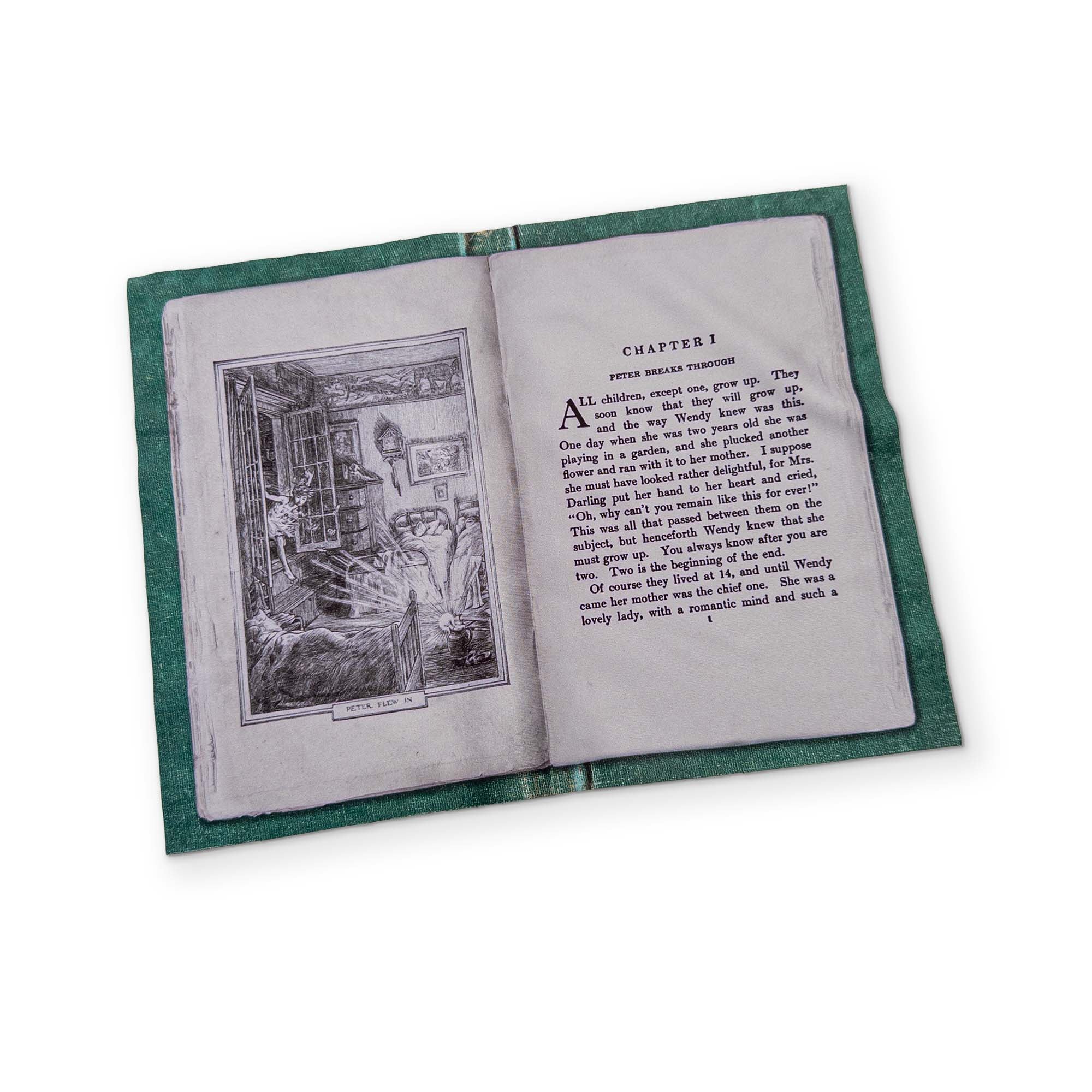 Microfiber Cleaning Cloth That Looks Like the Peter Pan Book – Nerdwax